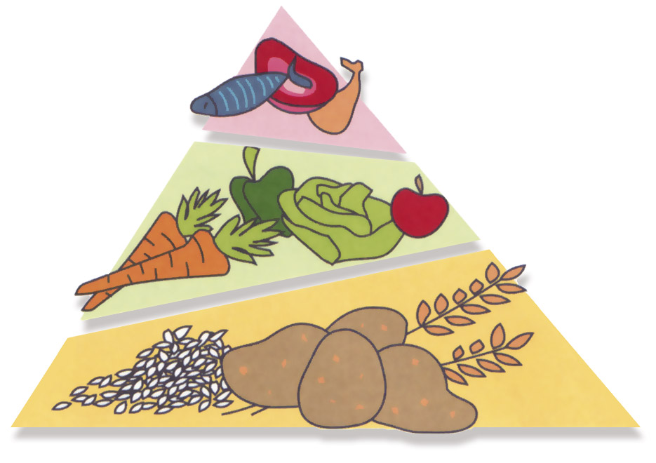 DGE | Essen auf Rädern aus Ihrer Region - Casino Menüservice